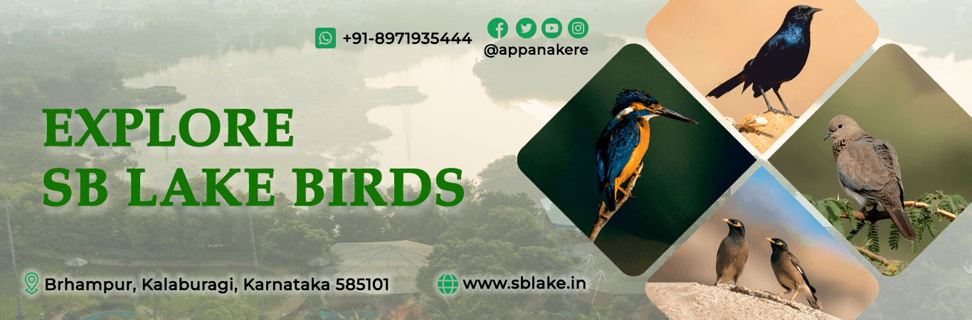 SB Lake and Garden, Kalaburagi