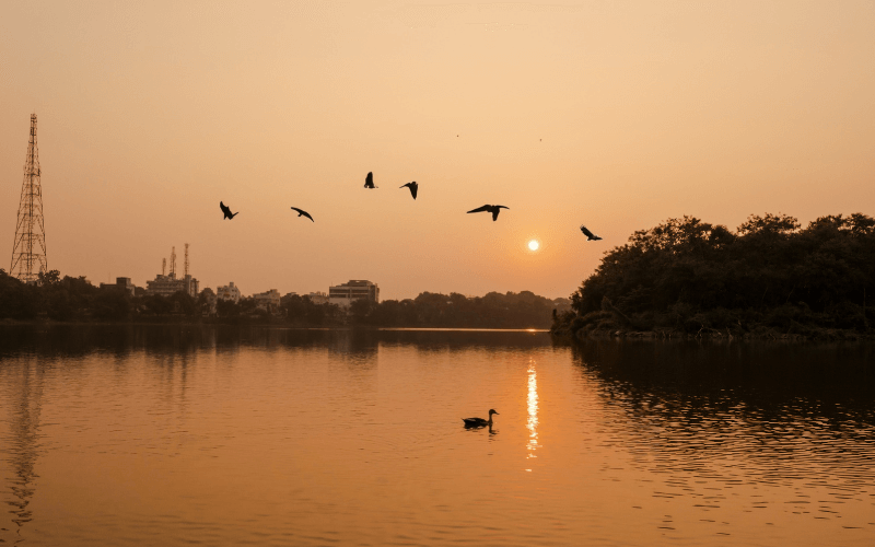 SB Lake and Garden, Kalaburagi